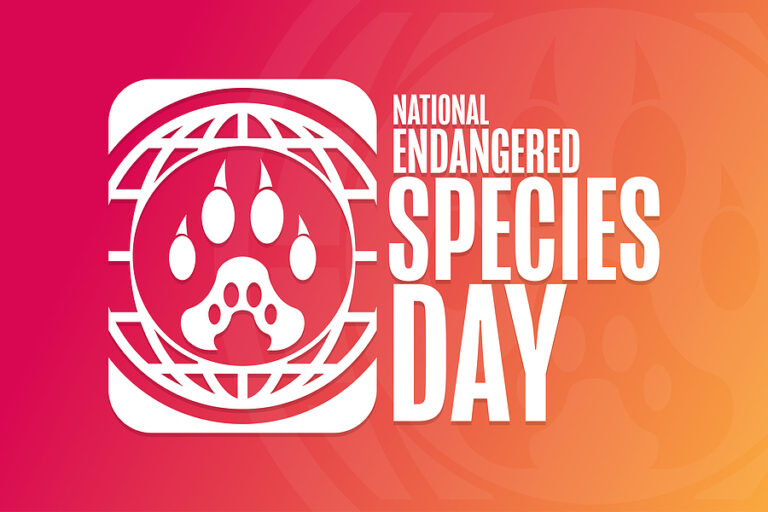 Celebrating National Endangered Species Day: A Call to Action for ...
