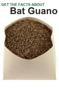 Bat Guano: Nature’s Gold for Your Garden and Agriculture | Modern ...